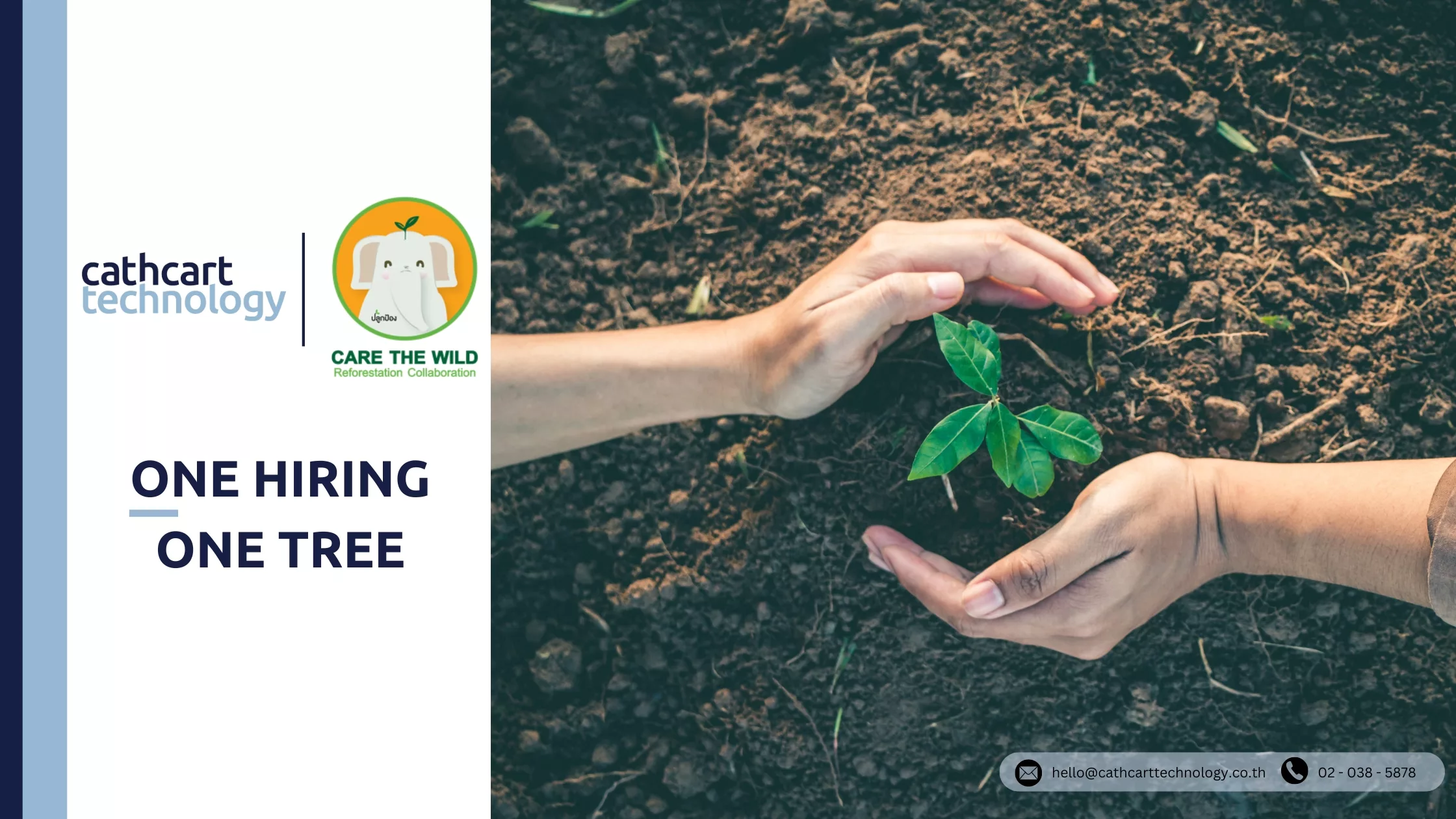 มากกว่าการจัดหางาน: Cathcart Technology มุ่งสู่ความยั่งยืน ผ่านโครงการ ...